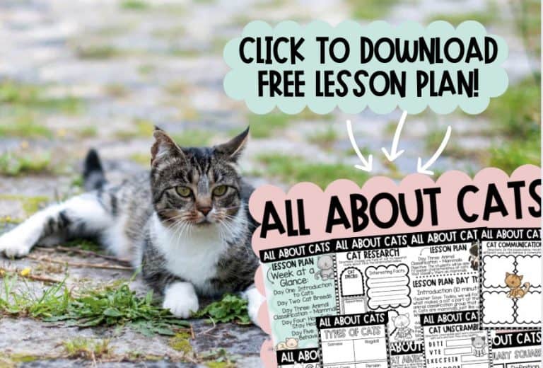 Free Feline Fun for Kids: A Cats Unit Plan for Kids - A-Z Animals
